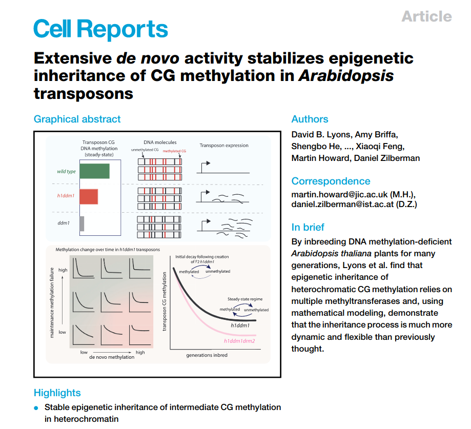 David B. Lyons – biologist at MSU Bozeman — chromatin, epigenetics, devbio